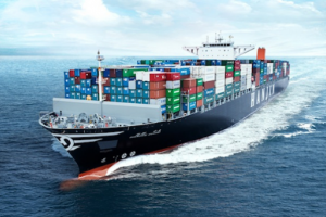 Sự khác nhau giữa carrier agent và vessel agent